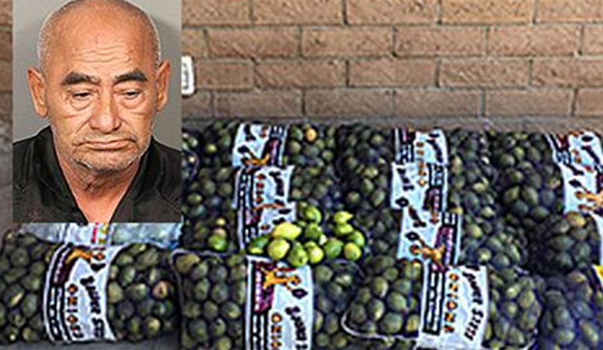 【フルーティー泥棒】カリフォルニアのフレッシュなレモンを360キロも盗んだ男が逮捕される – edamame.